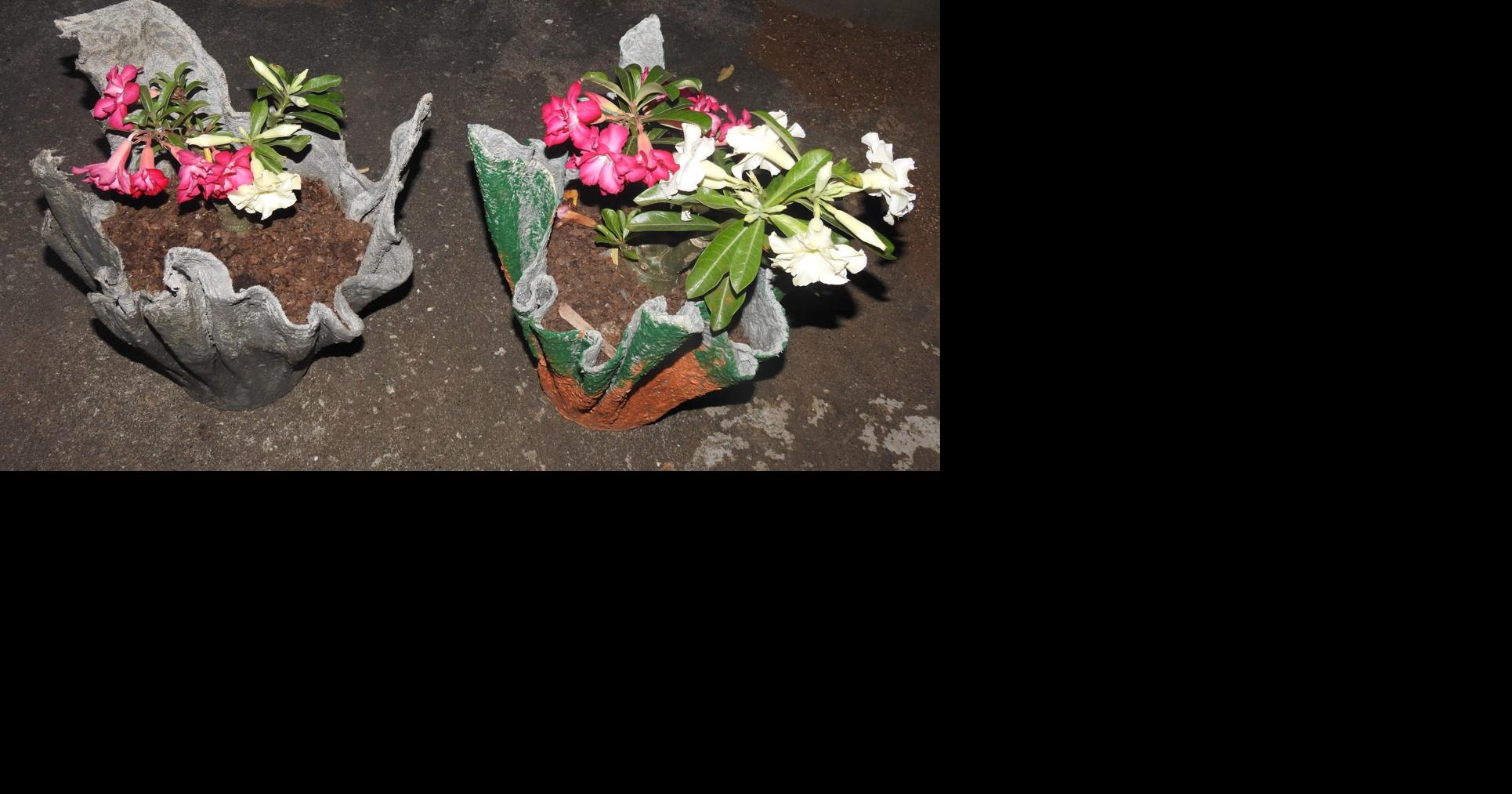 Police recover suspected stolen flowers | News | dailypost.vu