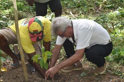 Tree replanting exercise to mark National Tree Planting Day | News ...