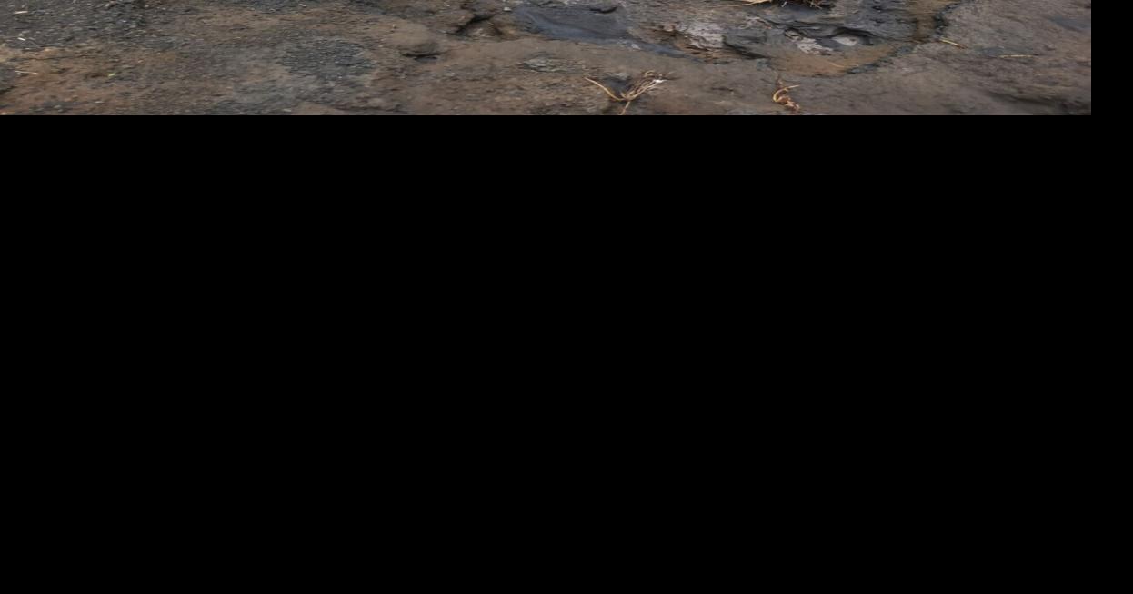 Southeast Ambrym’s road crisis | News | dailypost.vu