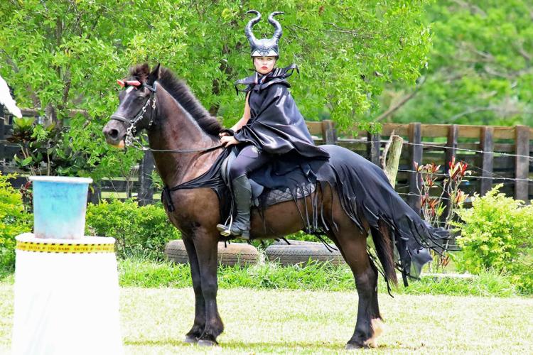 maleficent horse