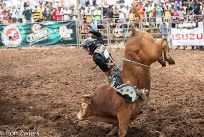 Rodeo returns to Port Vila | Sports | dailypost.vu