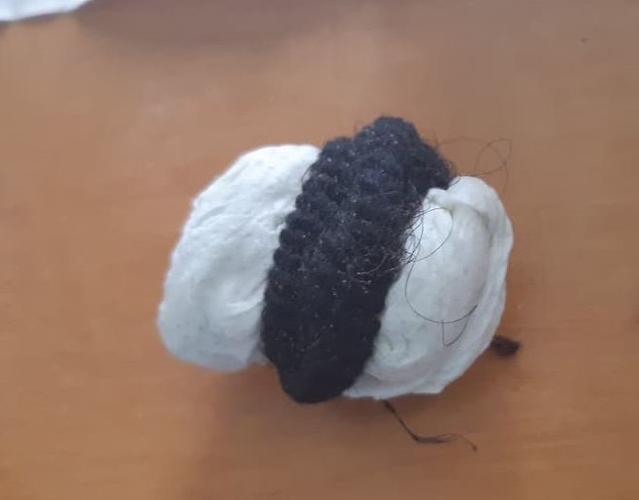 Illegal Plants Smuggled from Australia | News | dailypost.vu