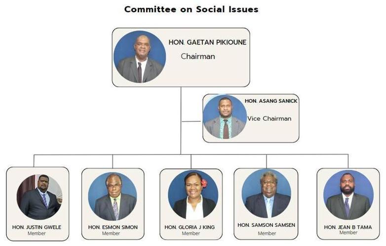 MPs Take Charge of Committees Probing Government Spending, Foreign Policy, and More | News ...