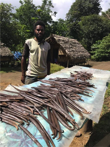Farmers to Improve Curing Process of Vanilla to Produce Top Quality ...