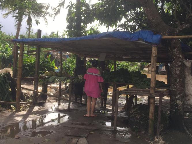 Prima and Teouma Bridge disaster-prone areas | News | dailypost.vu