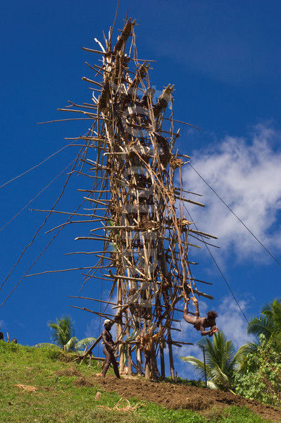 Lonoror Nagol tower cut down by Wawan people | News | dailypost.vu
