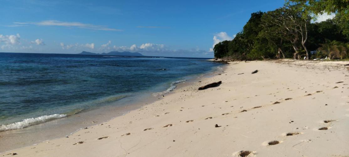 Police aware of crocodile killing in Pakea, but no complaint filed ...