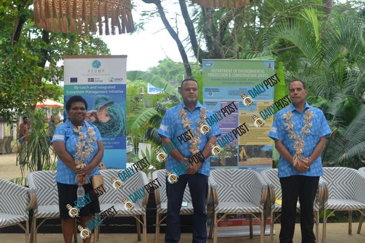 Vanuatu Launches National Plan to Protect Seabirds, Sharks, and Turtles ...