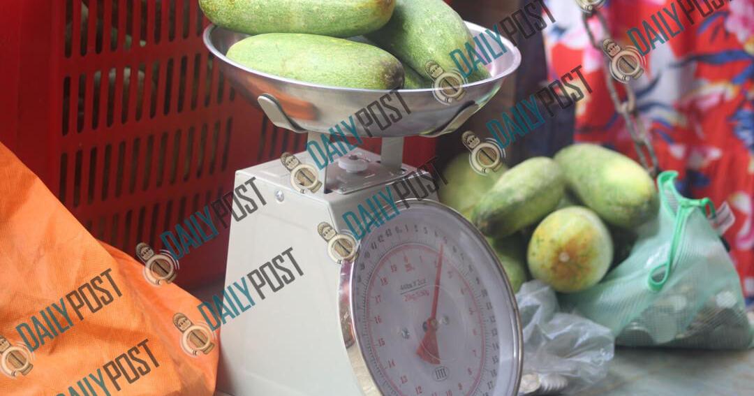 Young Farmer Earns Up to VT100,000 Selling Cucumbers on Scale | News ...