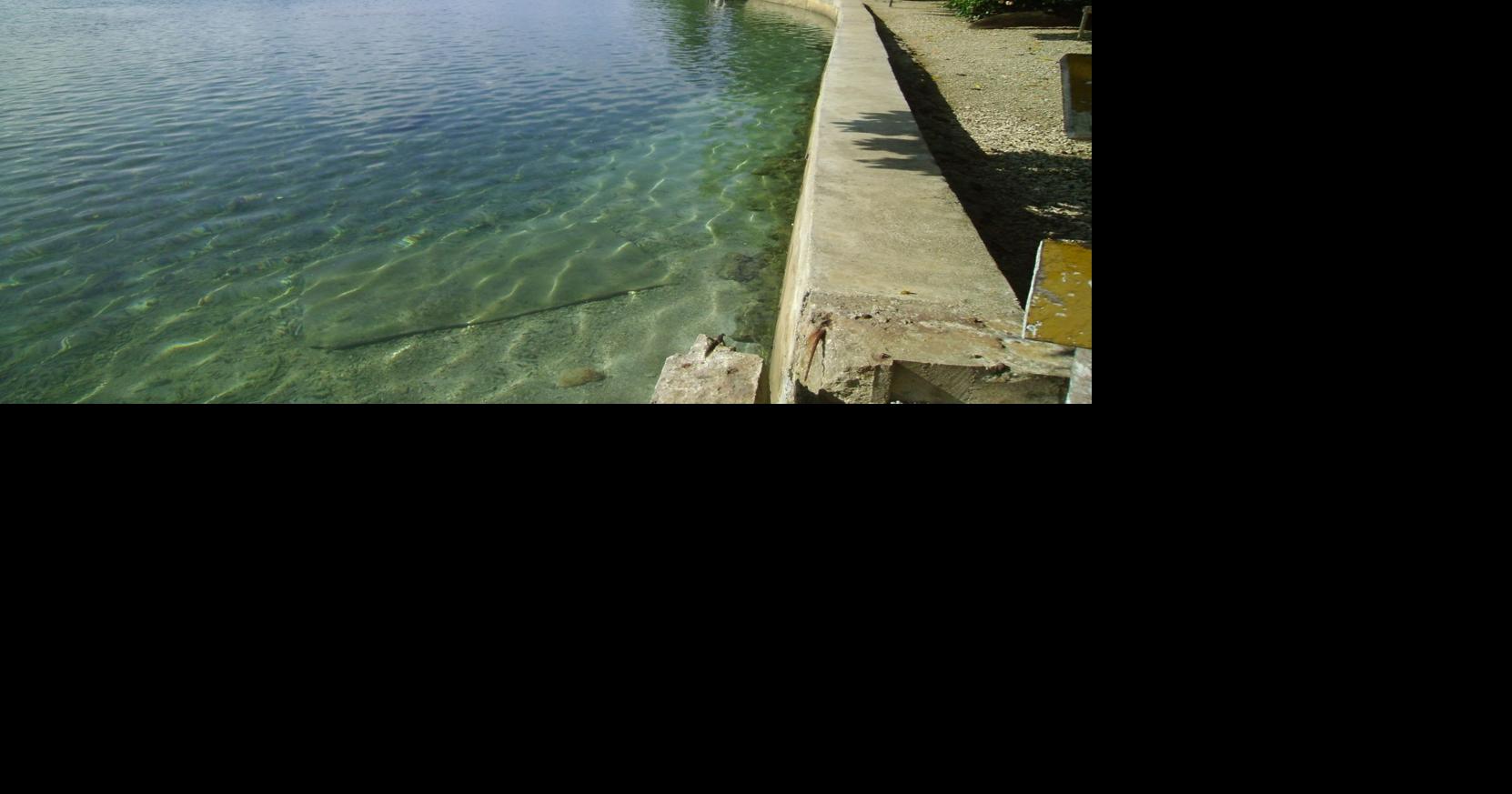 National Environment Week from June 5 to 9 | News | dailypost.vu