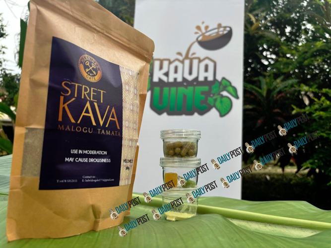 Discover kava revolution with Anthony Ligo from Hebrides Gates | News ...