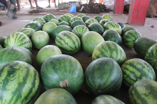 Tongoa Farmers’ Final Market for 2019 | News | dailypost.vu