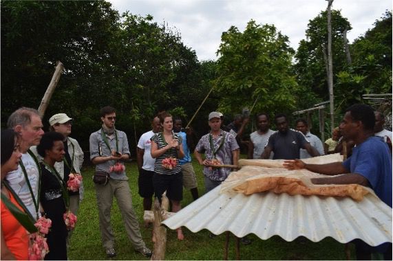 Vanuatu cocoa offers “new flavour” for craft chocolate industry | News ...
