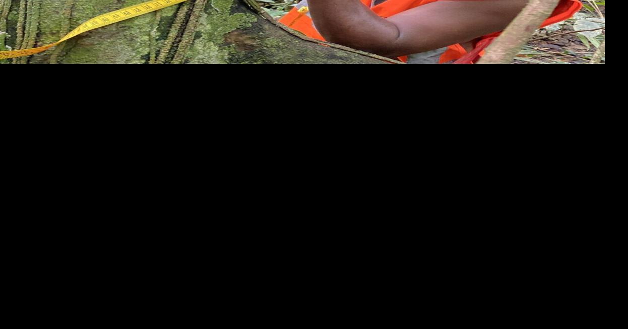 Live & Learn Vanuatu set to revolutionise conservation efforts with new ...