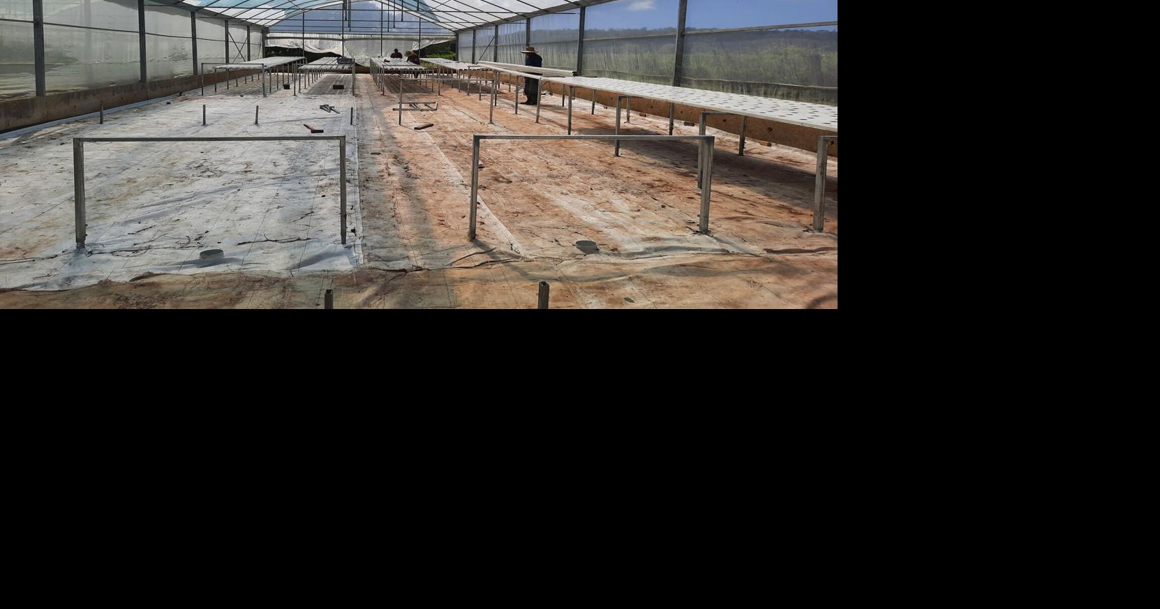 Teouma Valley Farms Expanding Operations | News | dailypost.vu