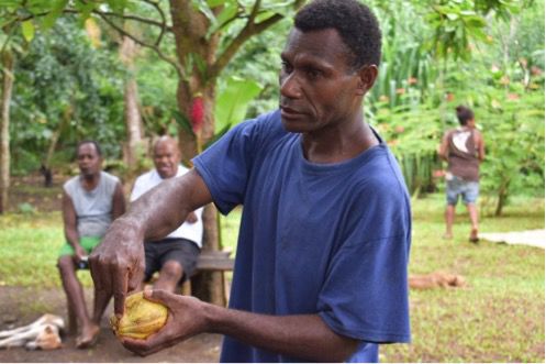 Vanuatu cocoa offers “new flavour” for craft chocolate industry | News ...