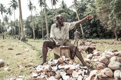 Competitor buyers boost copra price | News | dailypost.vu