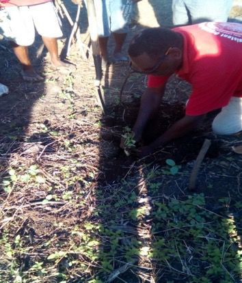 Recovering, Maintaining Food Security and Improving Livelihood on Ambae ...