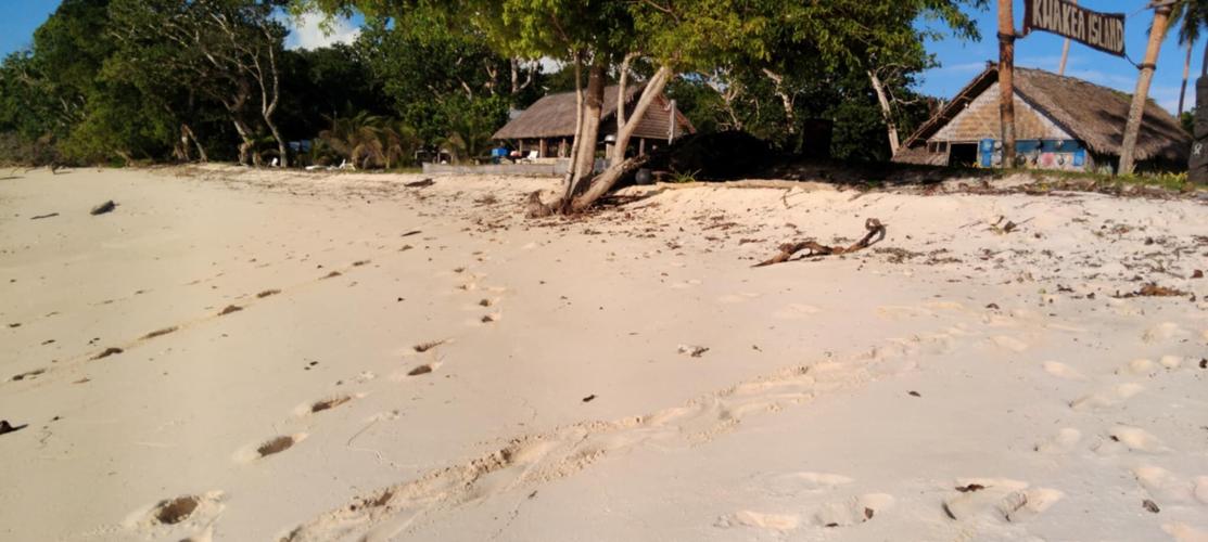 Police aware of crocodile killing in Pakea, but no complaint filed ...