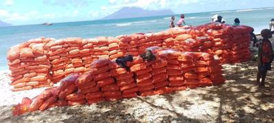 Gov't dry rations distribution begins | News | dailypost.vu