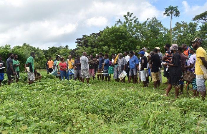 Farmers encouraged to Farm as a Business and to maintain Food Security ...