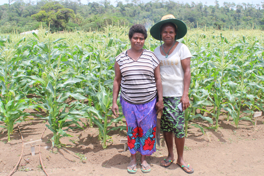 DARD to organize ‘Women in Agriculture-Vanuatu’ Workshop | News ...