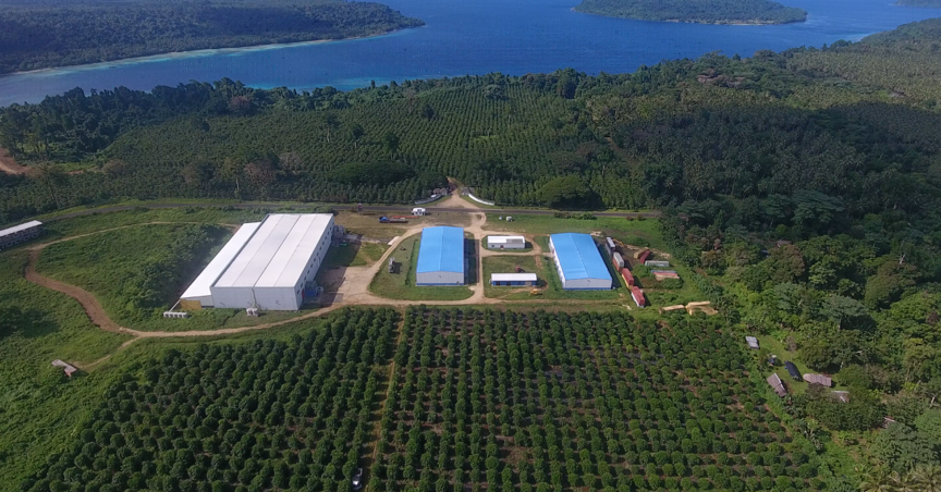 Over 1,000 tons of Noni Juice for export | News | dailypost.vu