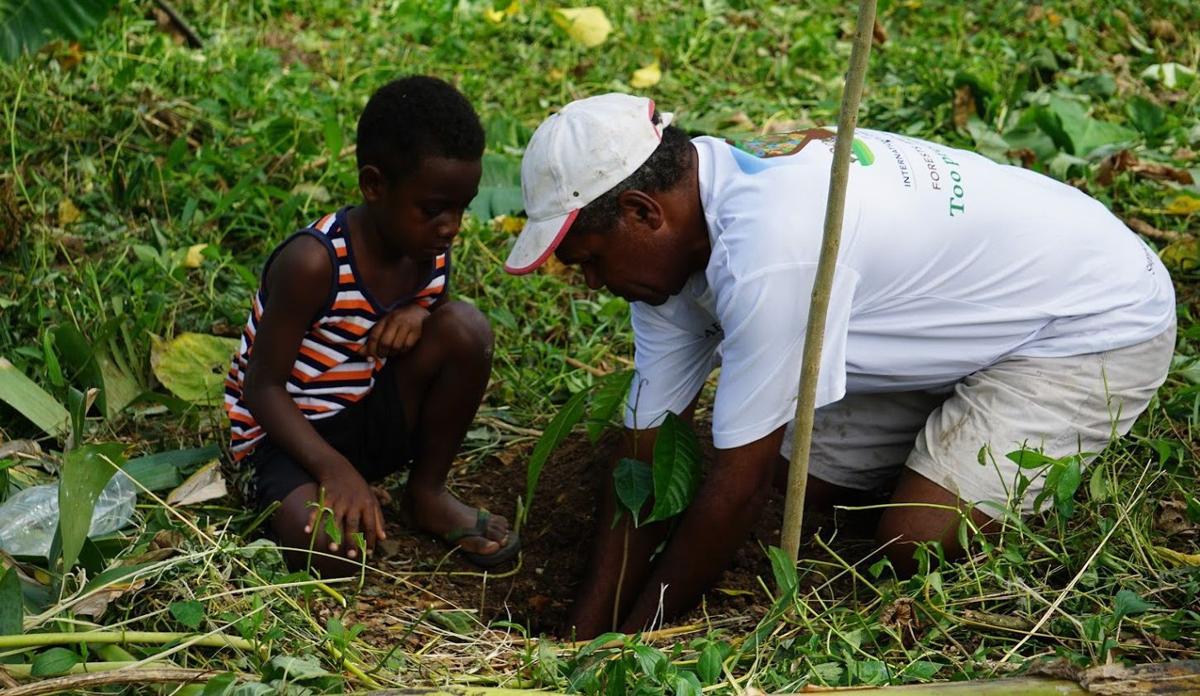 National Forestry and Tree Planting Week | News | dailypost.vu