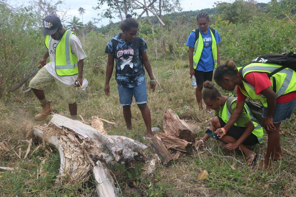 USP Emalus Campus joins fight against Rhino Beetle | News | dailypost.vu