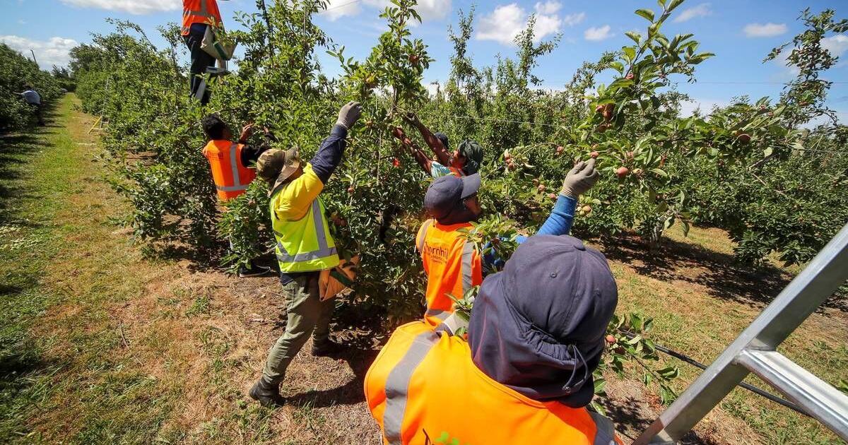 Concerns Over PALM and RSE Programs Impact on Families | News ...