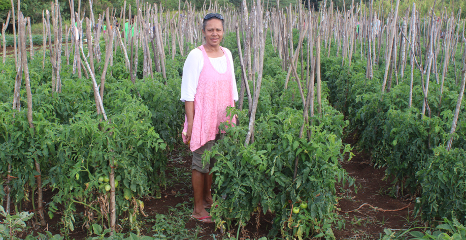 DARD to organize ‘Women in Agriculture-Vanuatu’ Workshop | News ...