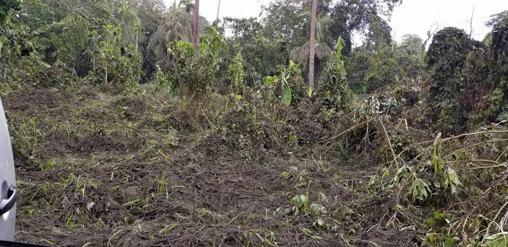 Heavy Ash Fall Hits Ambae | News | dailypost.vu