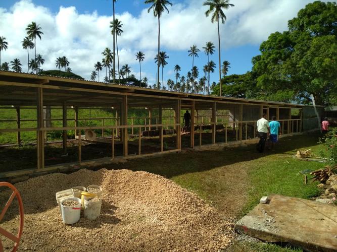 Preparation to receive Ambae students underway | News | dailypost.vu