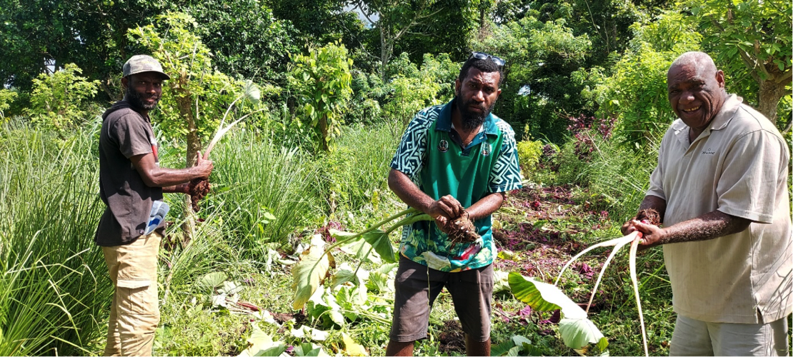 Use of Traditional Knowledge and Practices Evaluated | News | dailypost.vu