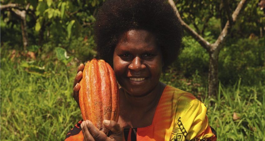 South Pacific cocoa farmers grow Adelaide's love of chocolate | News ...