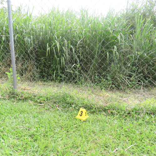 Vanuatu Beverage Offering Vt200,000 to Catch Criminals | News ...