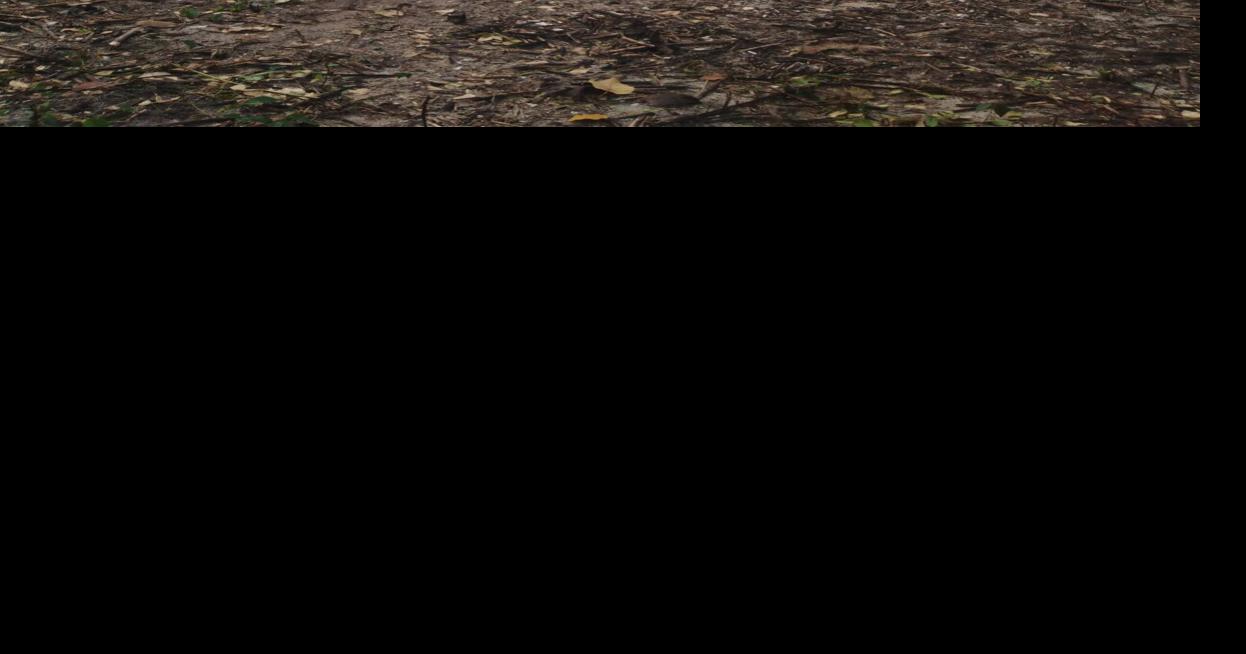 TORBA’s New Finance Office Building Opens | News | dailypost.vu