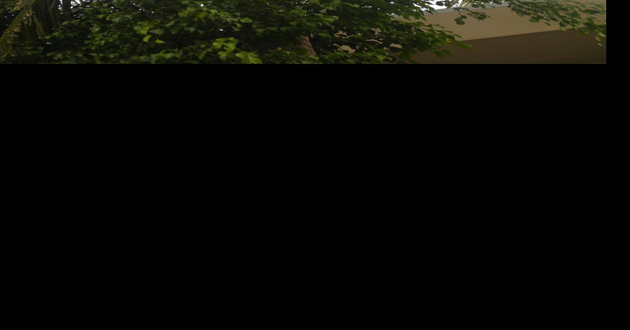 Vanuatu NGER report to be presented to UNCTAD | News | dailypost.vu