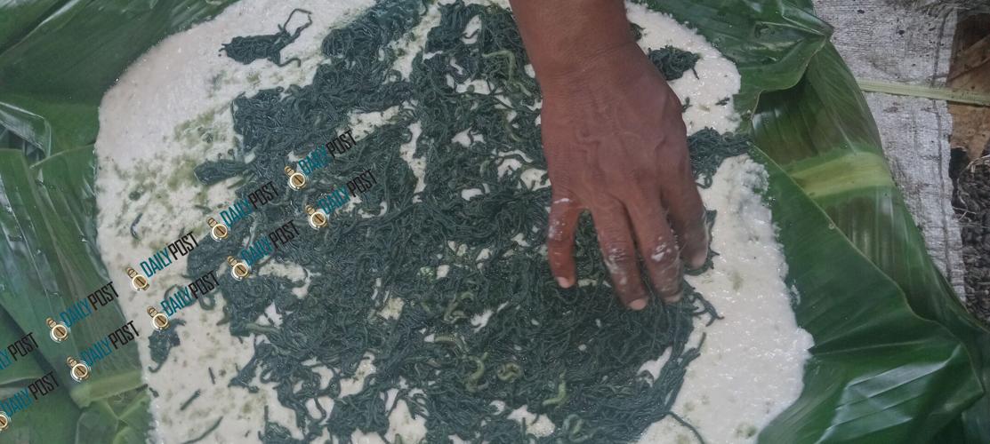 Malo Islanders top off Marou dish with palolo delicacy | News ...