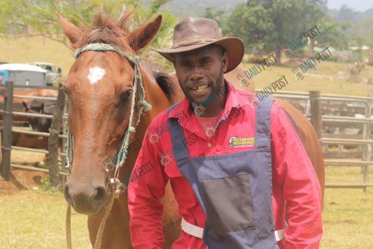 Vanuatu horse rider Silas shines at Port Vila Rodeo | Sports | dailypost.vu