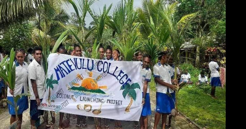 Matevulu College takes initiative in Coconut Replanting Program | News ...
