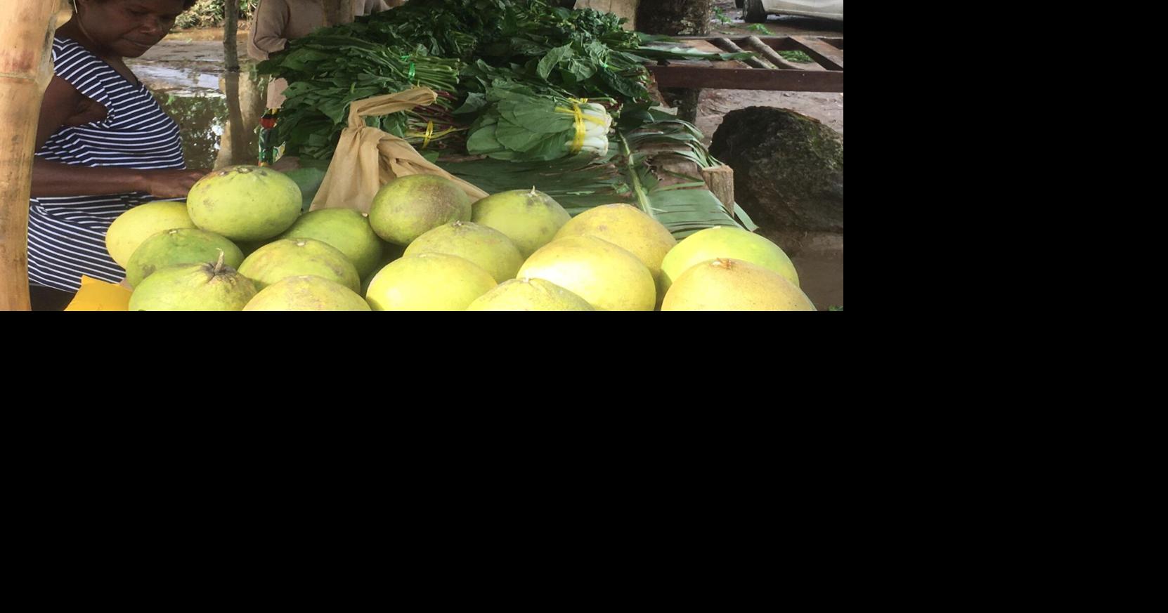 Prima and Teouma Bridge disaster-prone areas | News | dailypost.vu