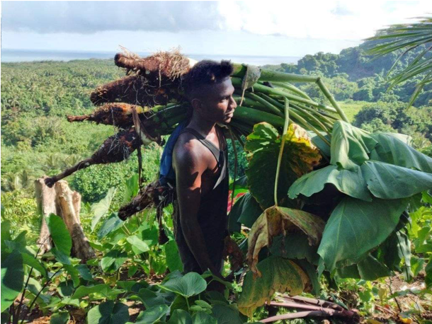 Building A Stronger Economy | News | dailypost.vu