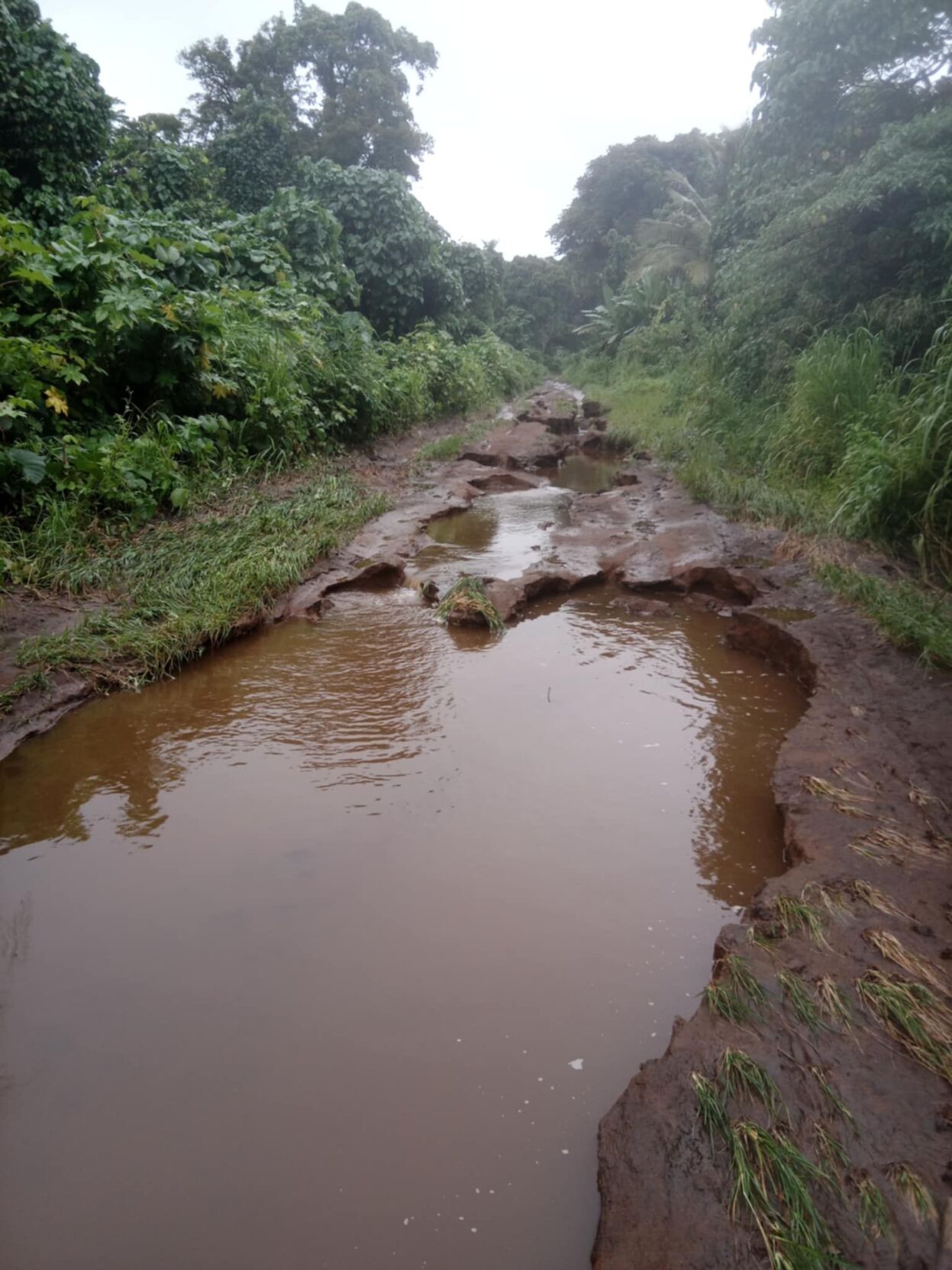 Cyclone Damage Forces North Ambae Residents to Build New Access Route ...