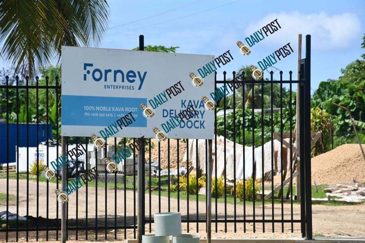 Forney Enterprise expands direct kava trade with Banks Islands | News ...