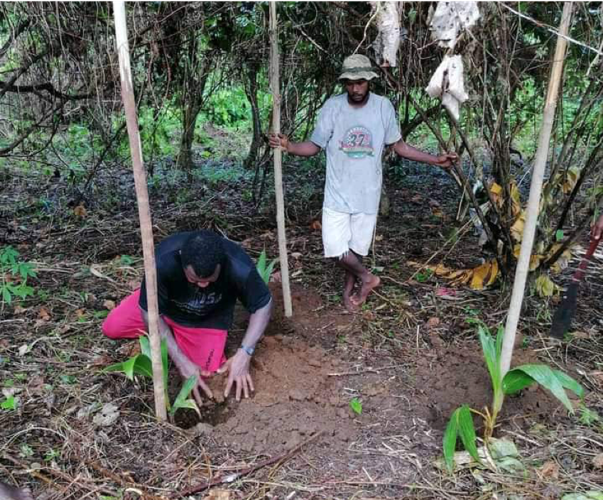 TORBA DARD Office COVID-19 Preparedness Underway | News | dailypost.vu