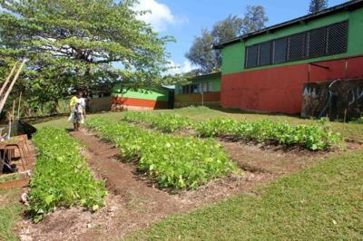 Clean school competition organised for primary schools | News ...