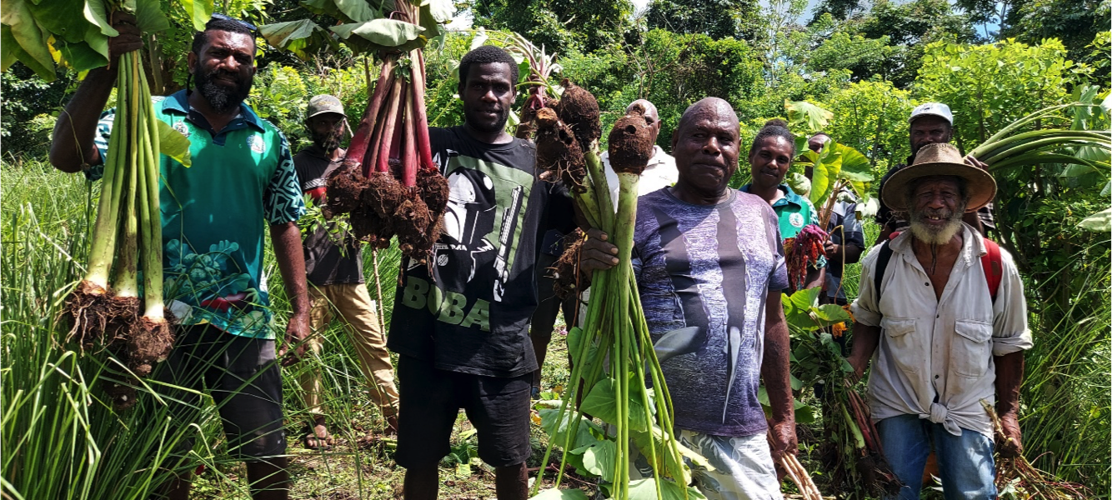 Use of Traditional Knowledge and Practices Evaluated | News | dailypost.vu