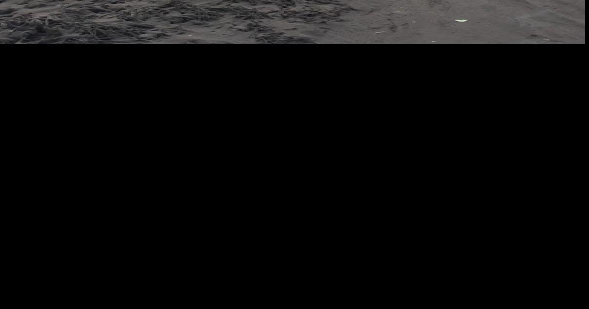 Ash Fall Destruction on North Ambae | News | dailypost.vu