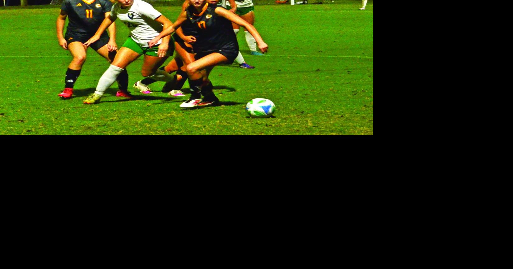 Lady Cherokees fall to Rhea County | Sports | dailypostathenian.com